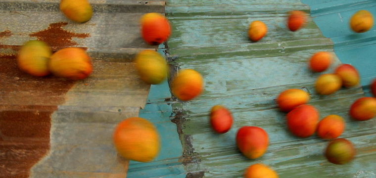 MCASD Tickets and Memberships